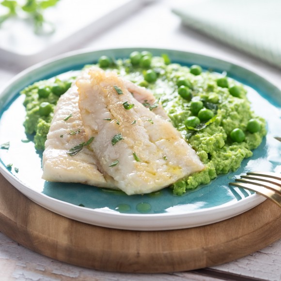 Vodiči i upute – Magazin — Ledo